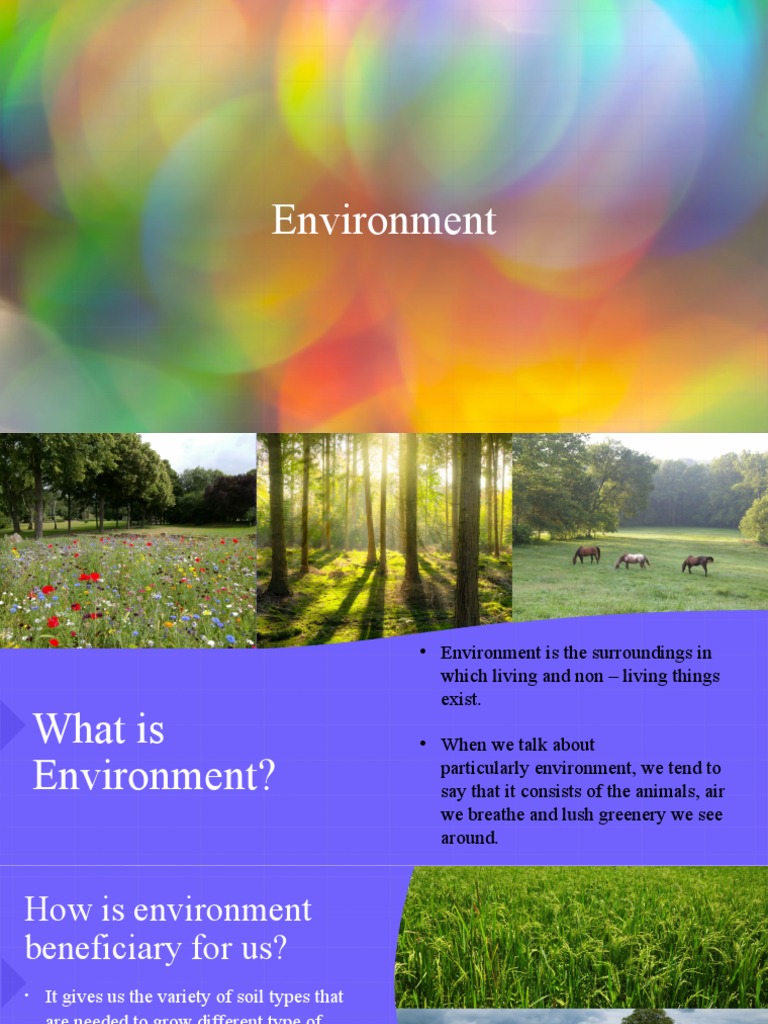 Presentation On Environment by Divyansh | PDF | Greenhouse Gas ...