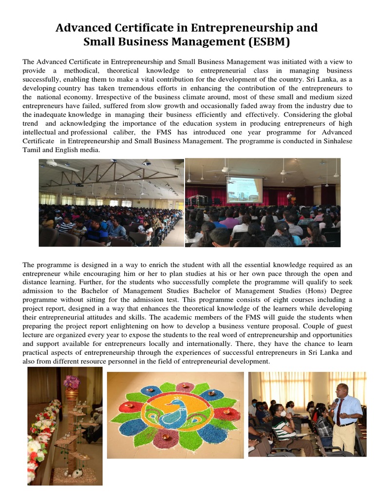 About Esbm | PDF | Entrepreneurship | Cognition