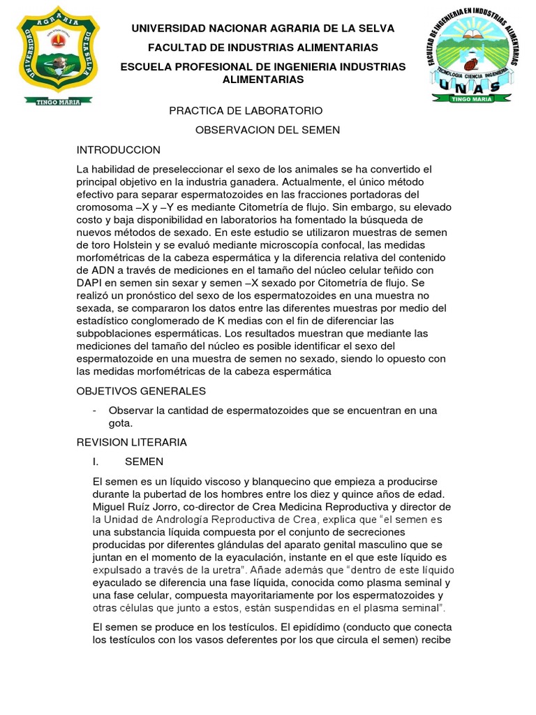 Informe Del Semen | PDF | Semen | Eyaculación