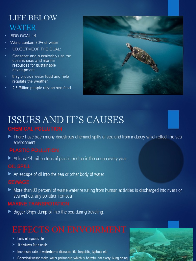 Life Below Water | PDF | Oceans | Sea