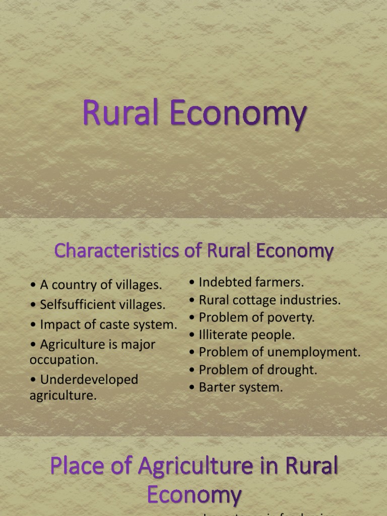 Characteristics of Rural Economy | PDF | Agriculture | Economies