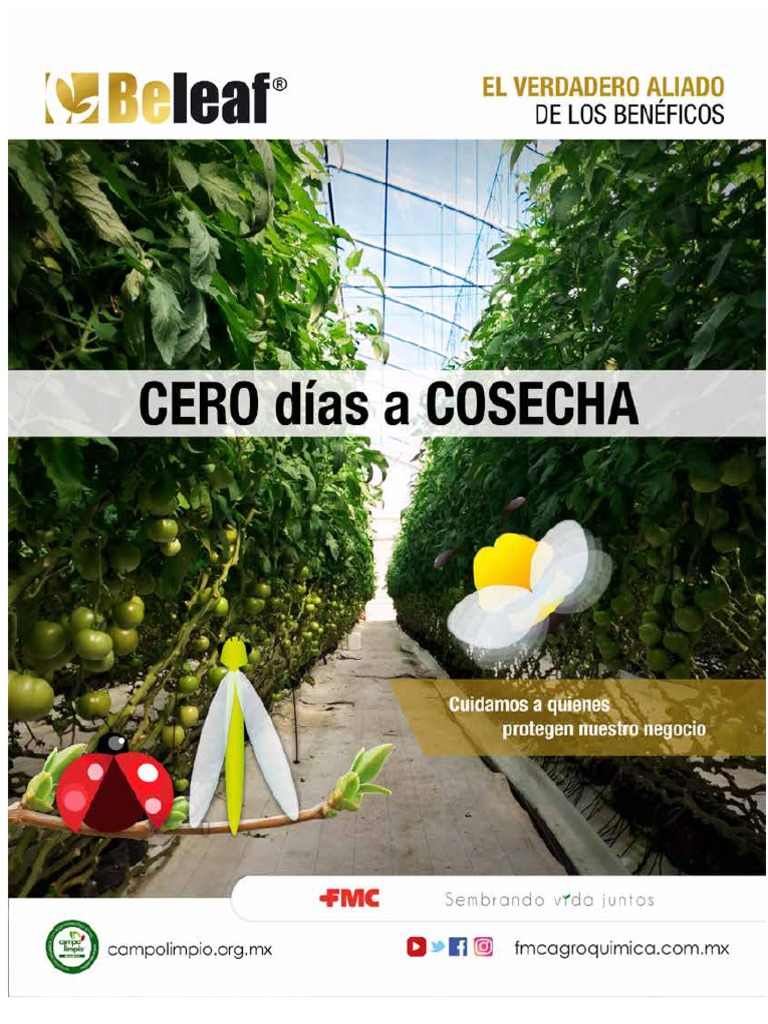 Etiqueta Beleaf | PDF | Insectos | Insecticida