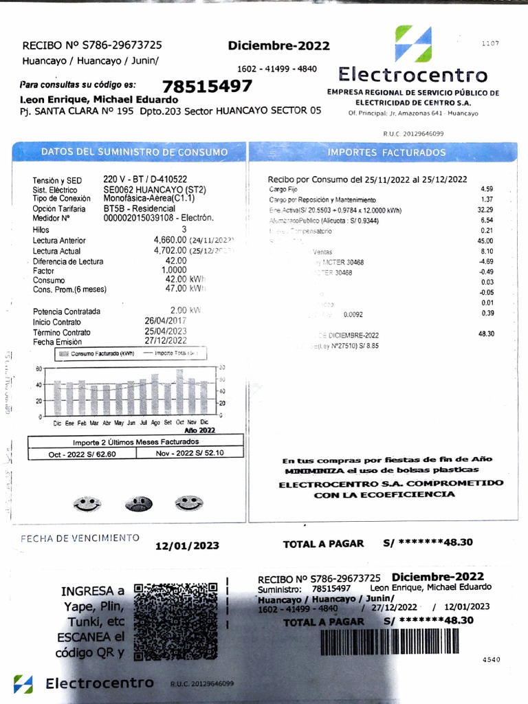 Recibo de Luz | PDF | Energia electrica | Poder (Física)