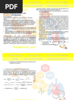 Proteus Ox-19 y Rickettsiosis | PDF | Organismos | Epidemiología