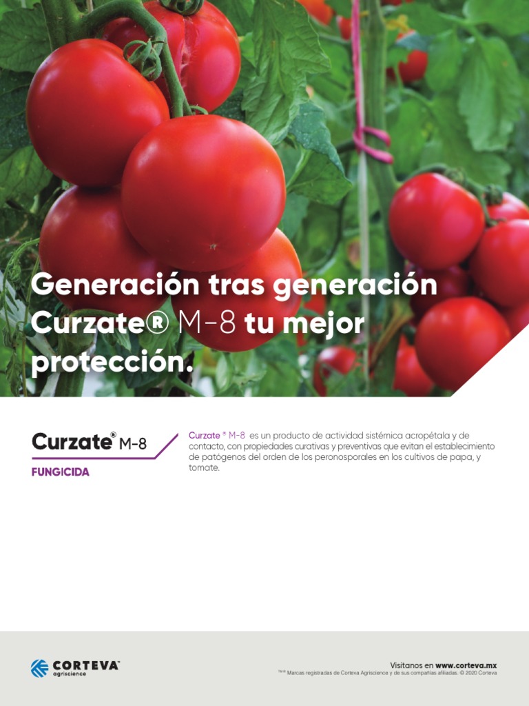 Folleto Curzate M8 | PDF | Especialidades Medicas | Medicina CLINICA