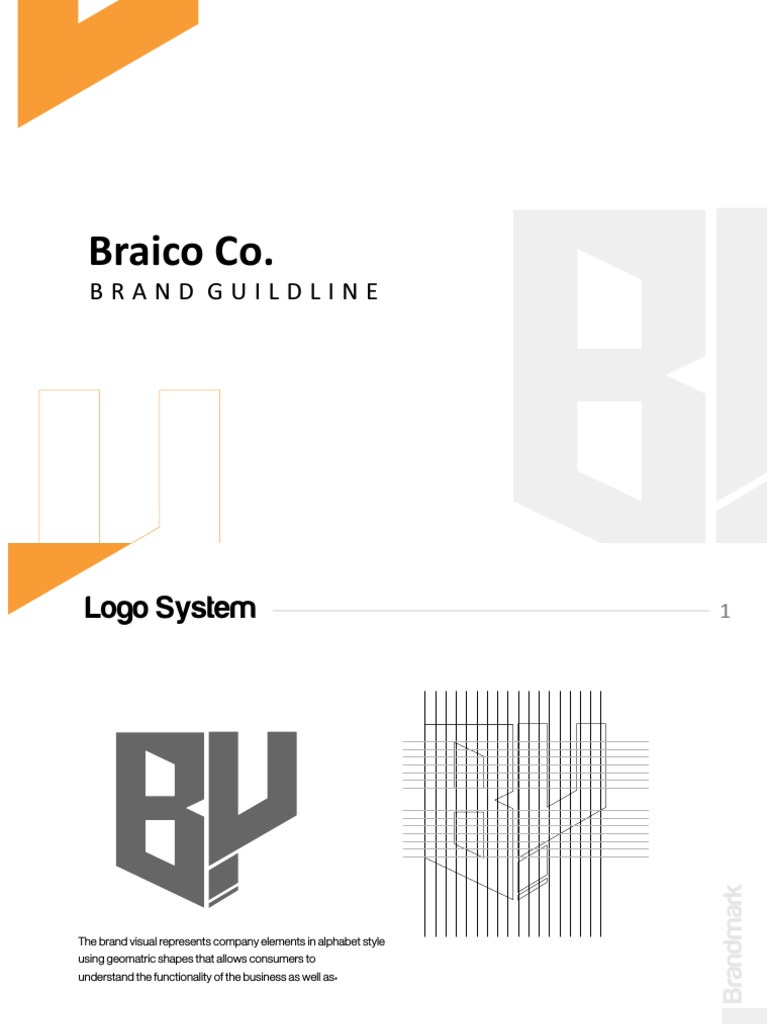 Brand Guidline Braico | PDF