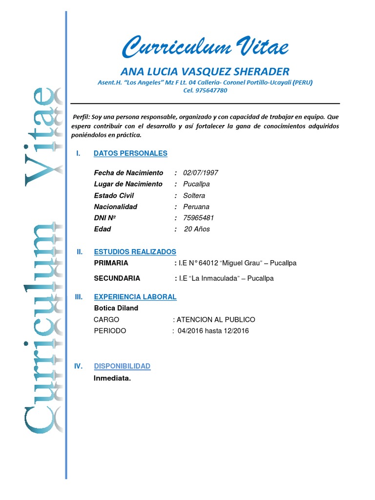 Modelo Curriculum | PDF