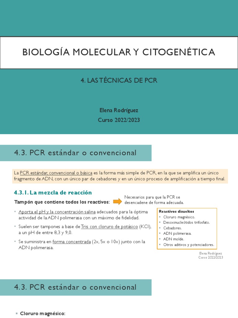 Técnicas de PCR: Proceso y Componentes | PDF | Reacción en cadena de la ...