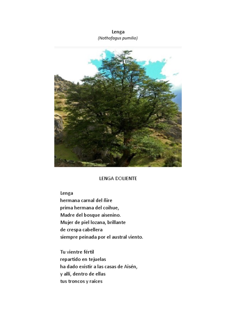 Lenga: Poema sobre el Bosque Aisenino | PDF | Hogar, jardinería y bricolaje