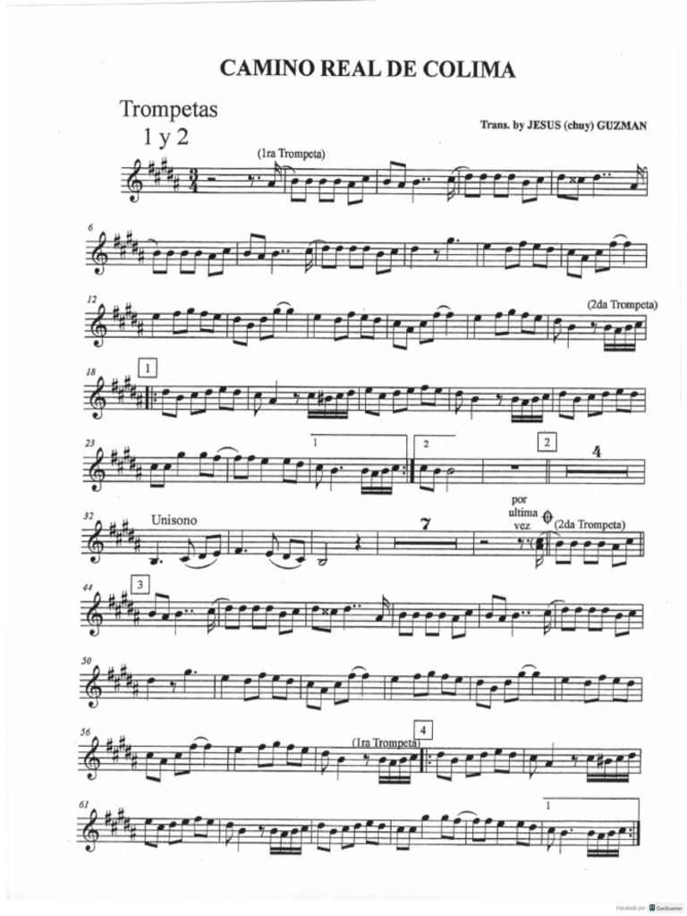 Camino Real de Colima (Camperos) | PDF