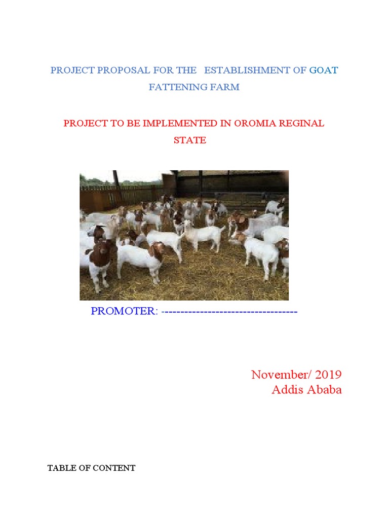 Re, Ee Project | PDF | Debt | Goat