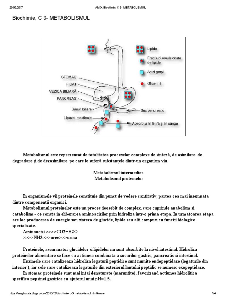 Amg - Biochimie, C 3 Metabolismul Ok | PDF