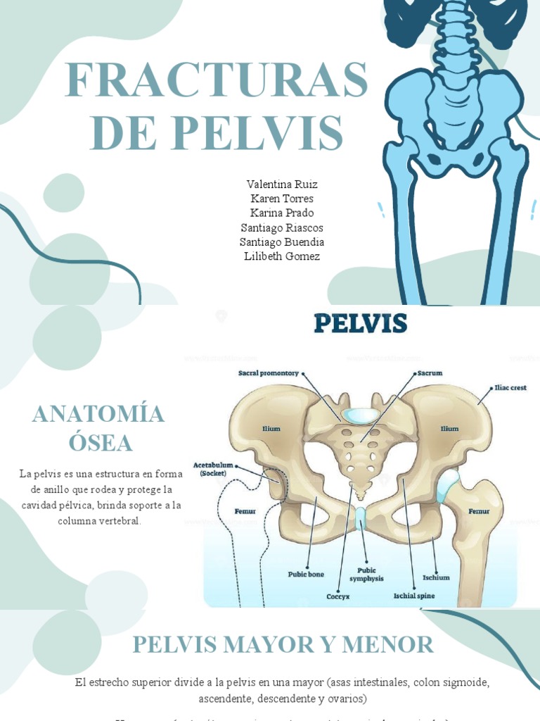 PELVIS | PDF | Pelvis | Medicina CLINICA
