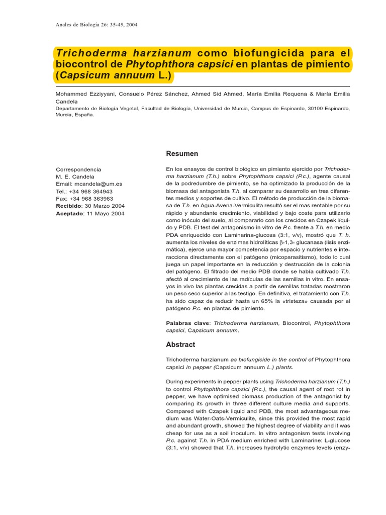05 Trichoderma Para La Pruebas De Antagonismo Y Crecimeinto Descargar