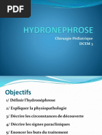 Syndrome de la Jonction Pyelo-Uréterale | PDF | Rein | Spécialités ...