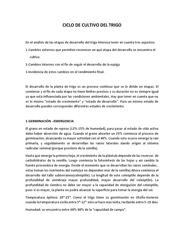 Agronomía - Ciclo de Cultivo Del Trigo Resumido | PDF | Raíz | Tallo de ...