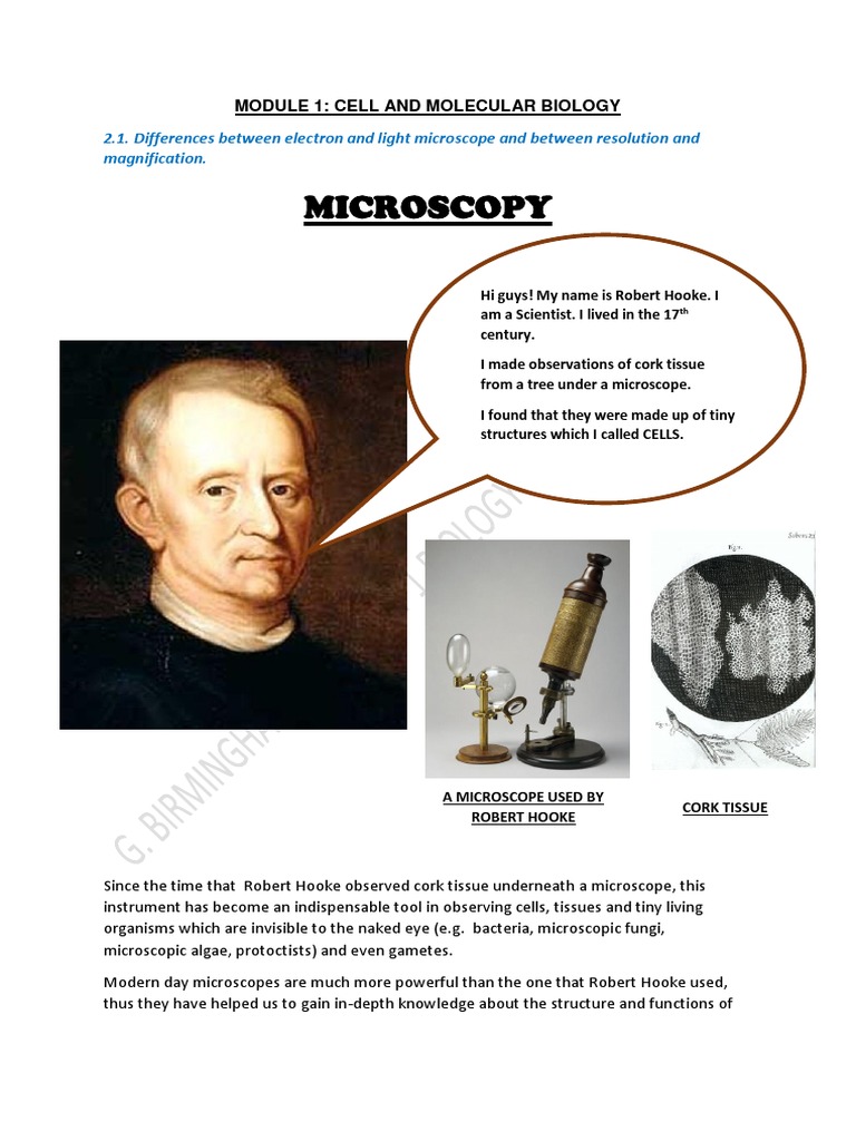 Microscopy | PDF | Microscope | Electron Microscope