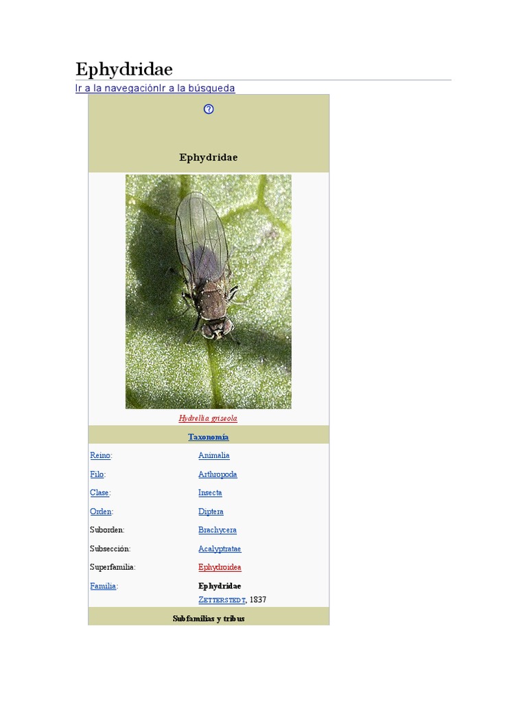 Ephydridae | PDF | Taxa