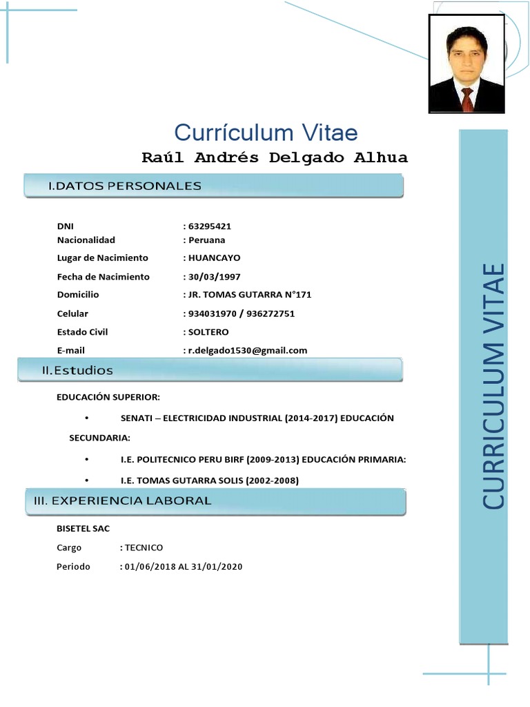 CV - Delgado Alhua | PDF