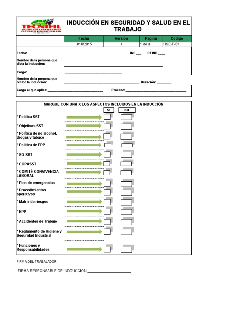Formato de Inducción Hse (P) | PDF | Negocios | Finanzas y dinero