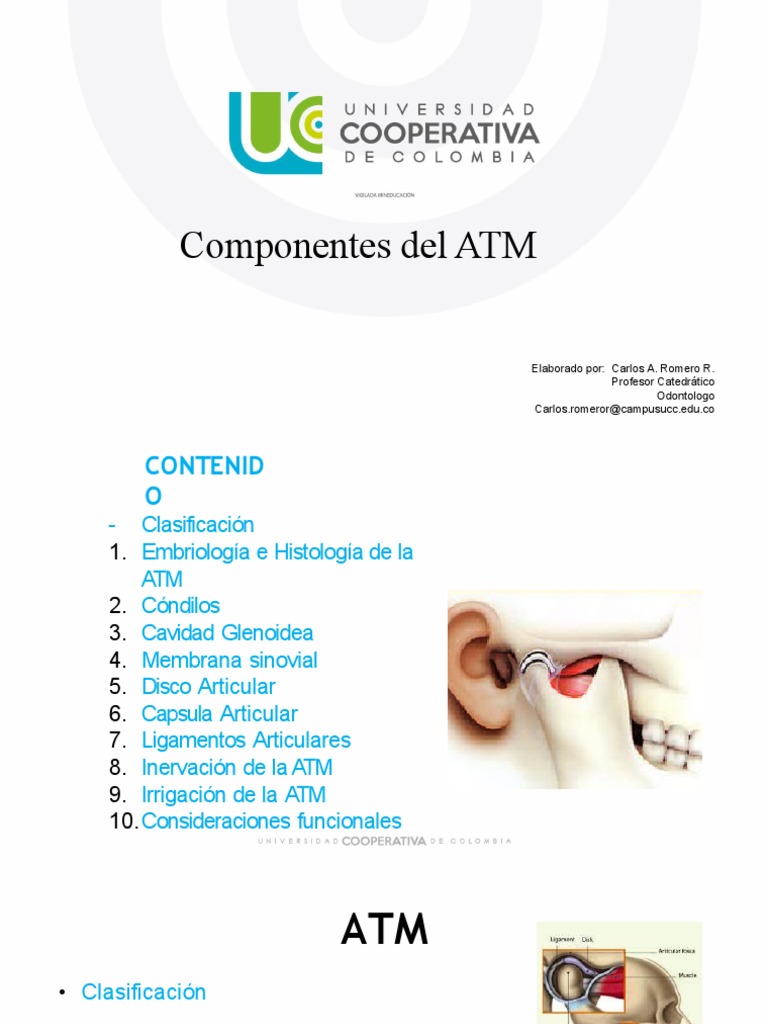 Componentes Del ATM | PDF | Articulación | Anatomía humana