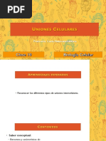 Funcion de Las Uniones GAP en La Union Interceluar | PDF | Biología ...