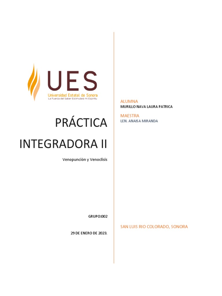 Práctica Integradora II | PDF | Cuidado de la salud | Enfermedades y ...