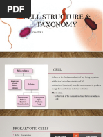 7es Detailed Lesson Plan Hierarchy of Taxonomic Classification | PDF ...