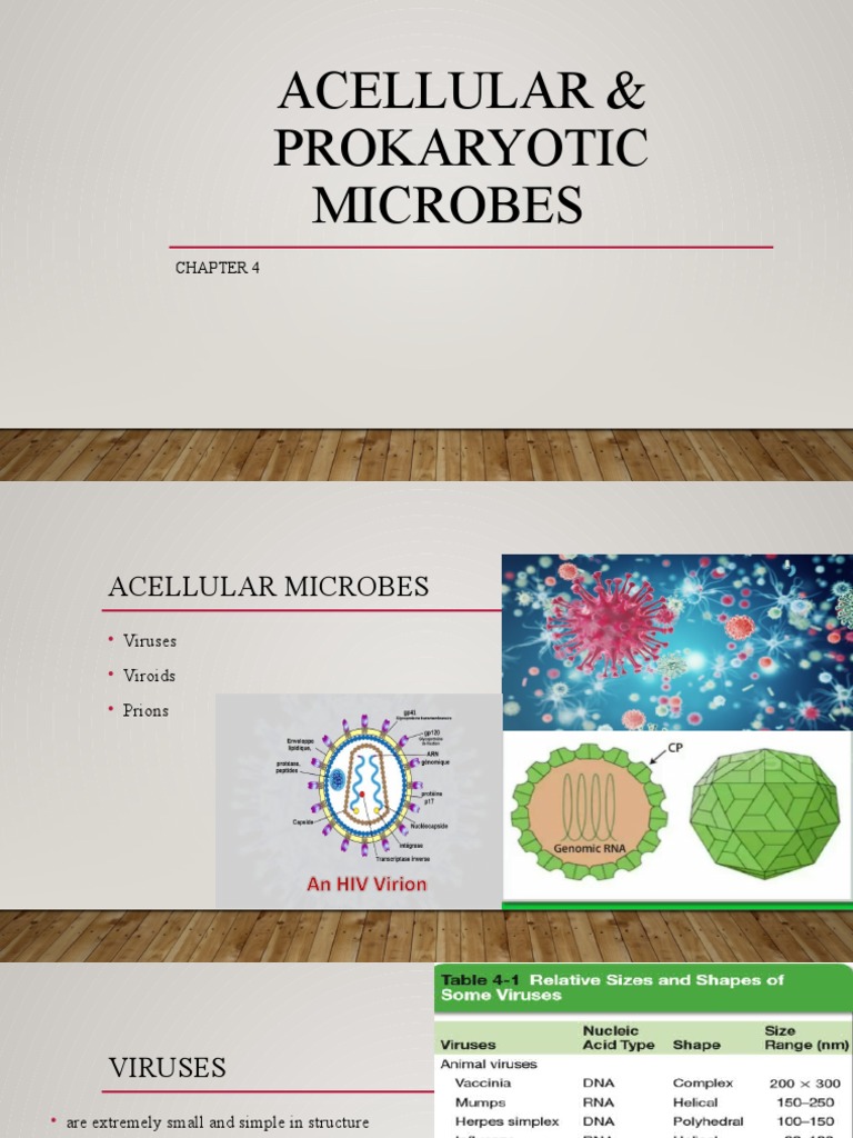 chapter-4-ACELLULAR AND PROKARYOTIK MICROBES | PDF | Virus | Bacteriophage