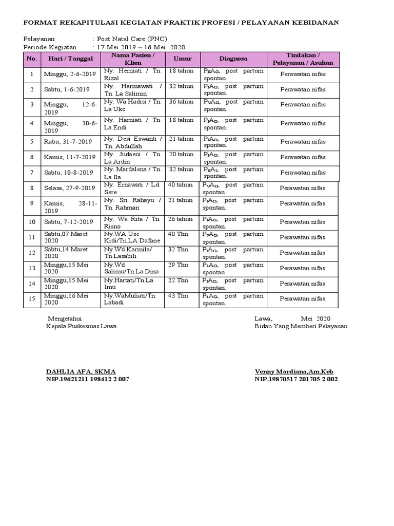 Format Rekapitulasi Kegiatan Praktik Profesi PNC | PDF