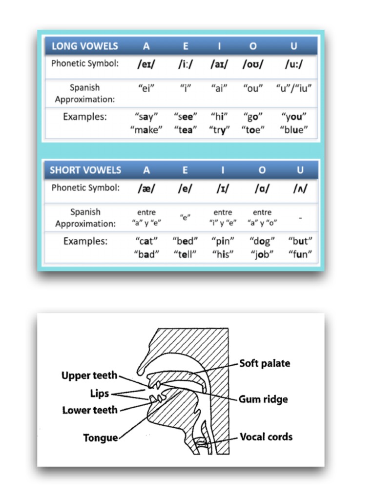 Pronunciation Position | PDF