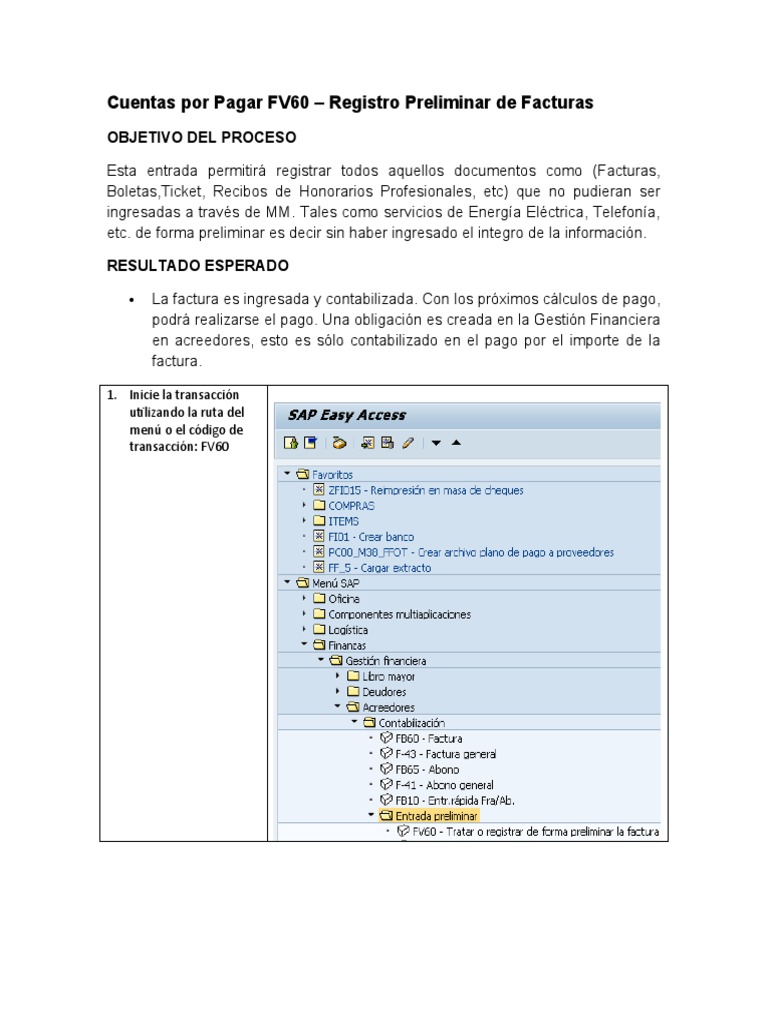 Manual Cuentas Por Pagar Fv60-Registro Preliminar Facturas | PDF ...