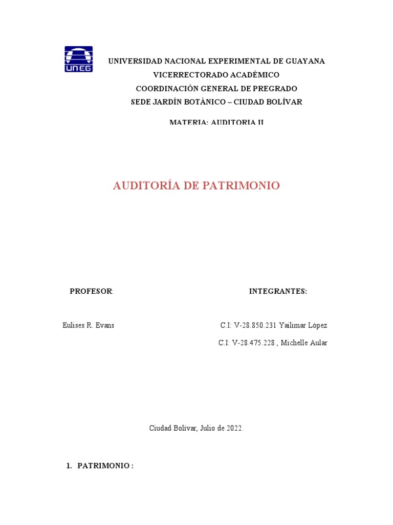 Tema 4 Auditoría Patrimonio Pdf Auditoría Estado Financiero