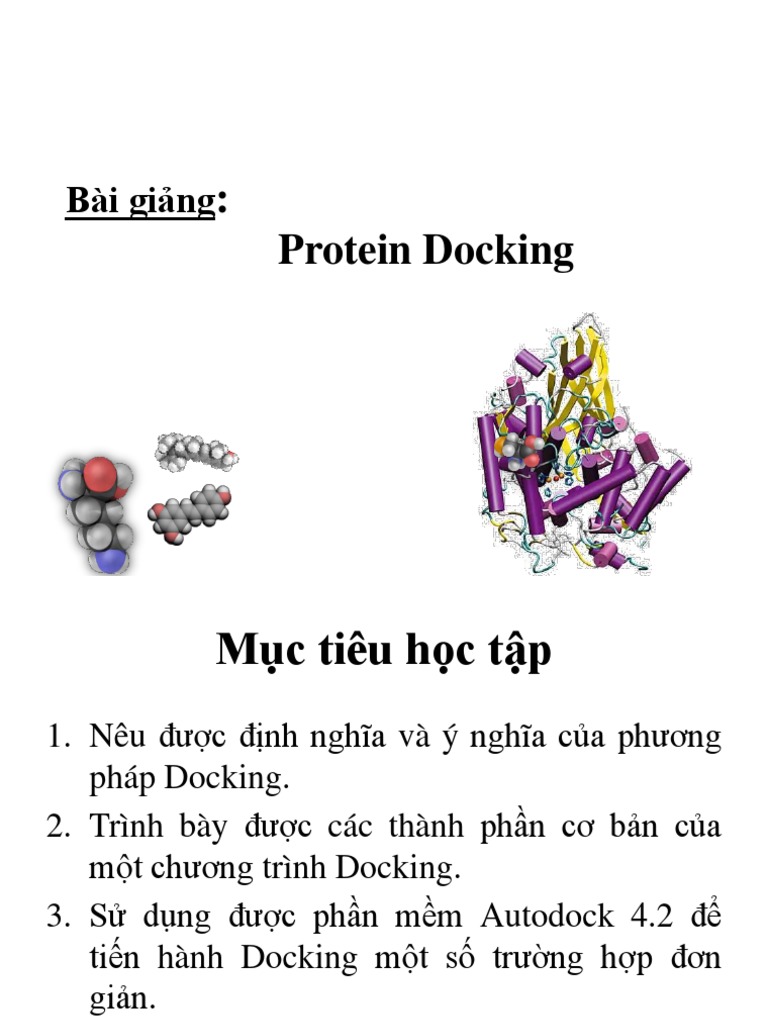 Protein Docking Bai Giang | PDF