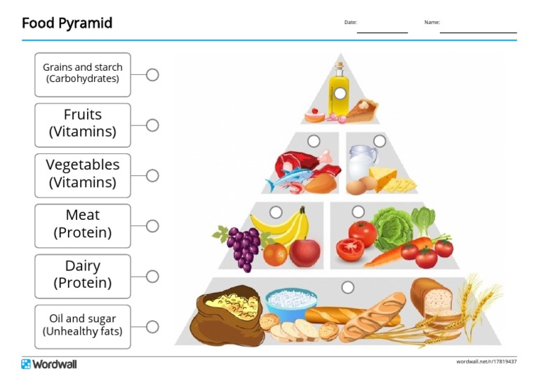 Food Pyramid with Labels and Groups | PDF