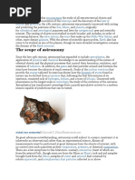 Differentiates Types of Eating | PDF | Eating | Foods