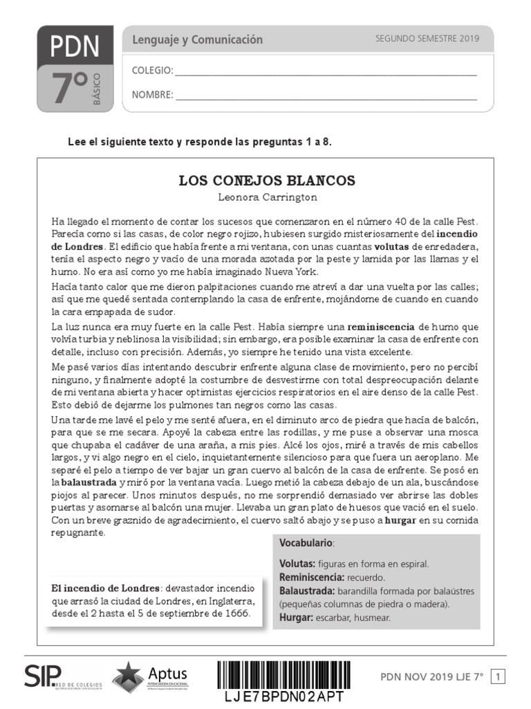 PDN 2019 Noviembre LJE 7 Aptus | PDF | Poesía | Chile