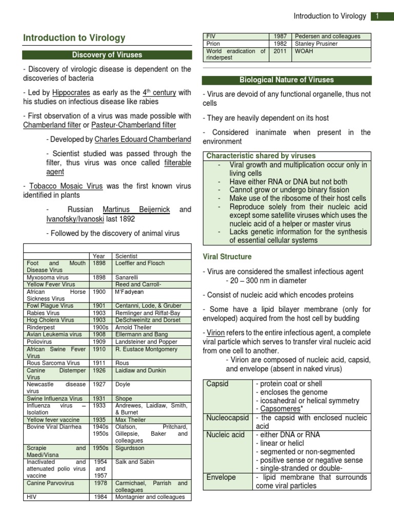 Introduction To Veterinary Virology | PDF | Virus | Infection