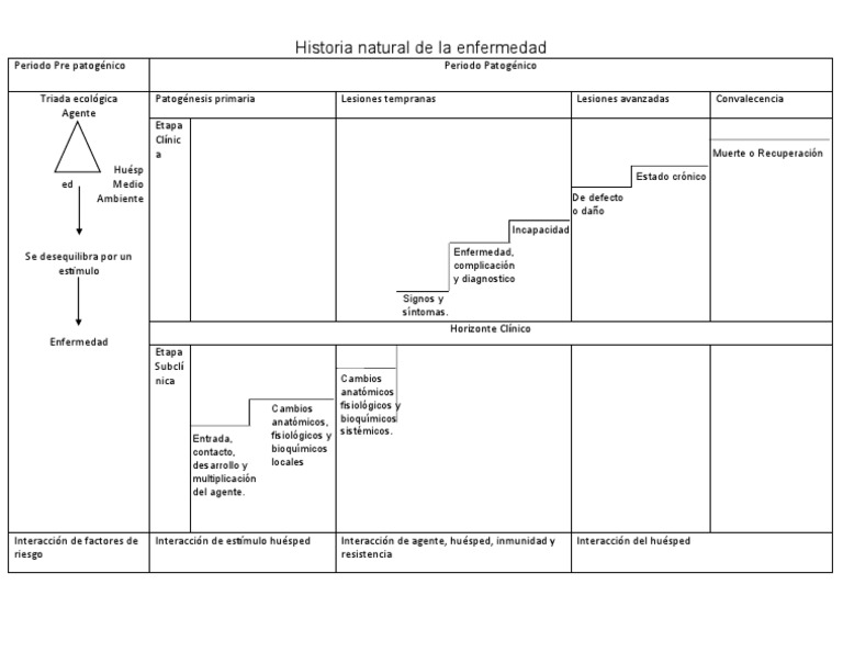 Historia Natural de La Enfermedad | PDF | Especialidades Medicas | Salud pública