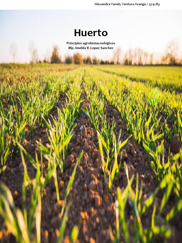 Documento Sin Título | PDF | Siembra | Germinación