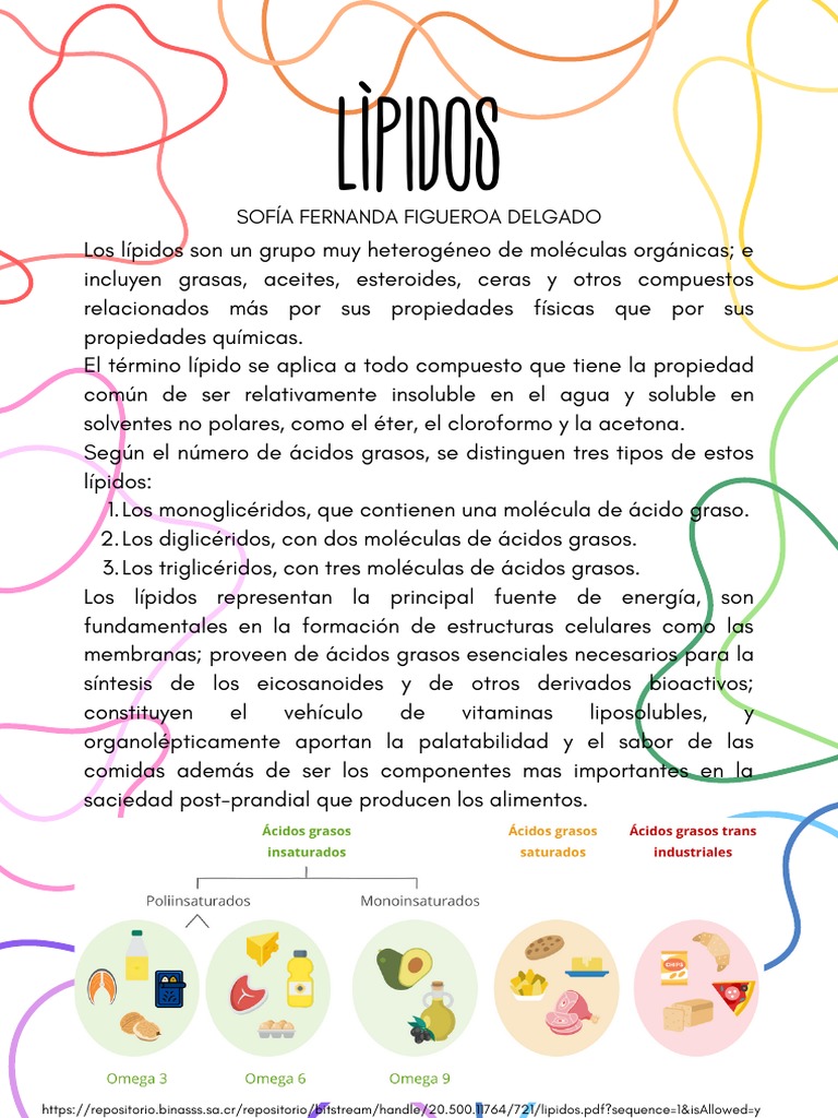 LIPIDOS | PDF