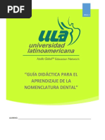 Nomenclatura Dentaria - El Código Internacional (FDI) | PDF | Diente ...