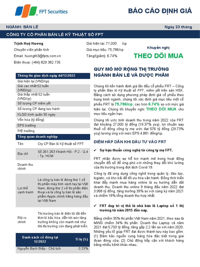 Bao Cao Dinh Gia - FRT | PDF