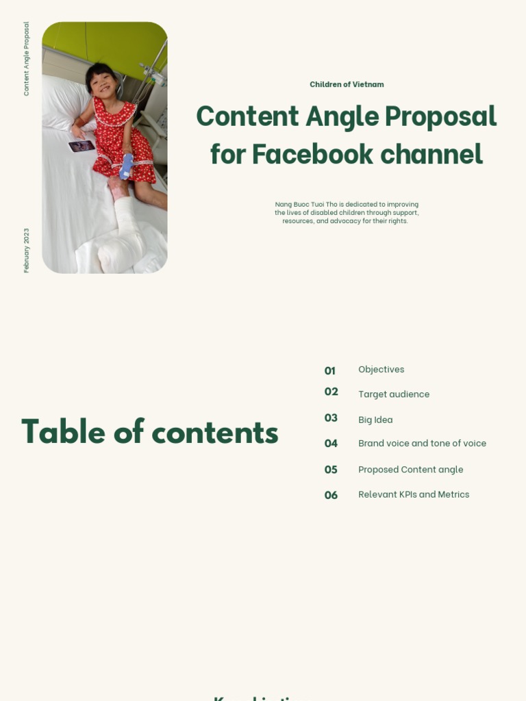 Content Angle Proposal Children of Vietnam | PDF | Ho Chi Minh City ...