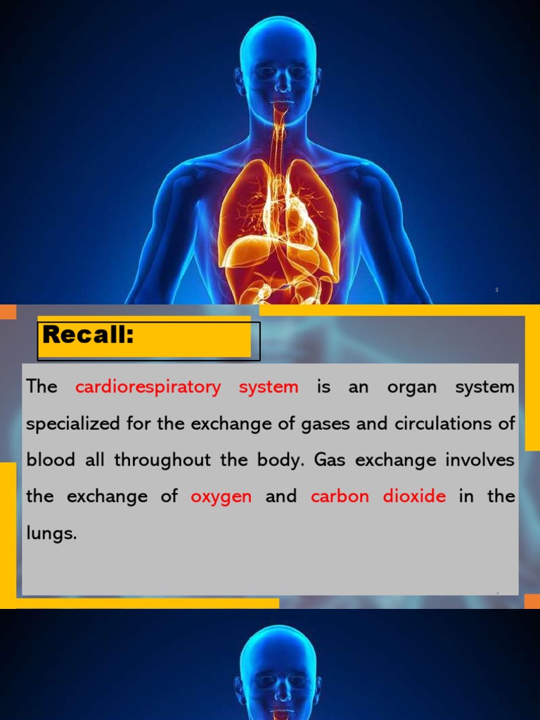Science 6 Q2 Week 4+-+Nervous+System | Download Free PDF | Neuron ...