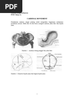 TTV Normal Bayi Baru Lahir dan Anak | PDF