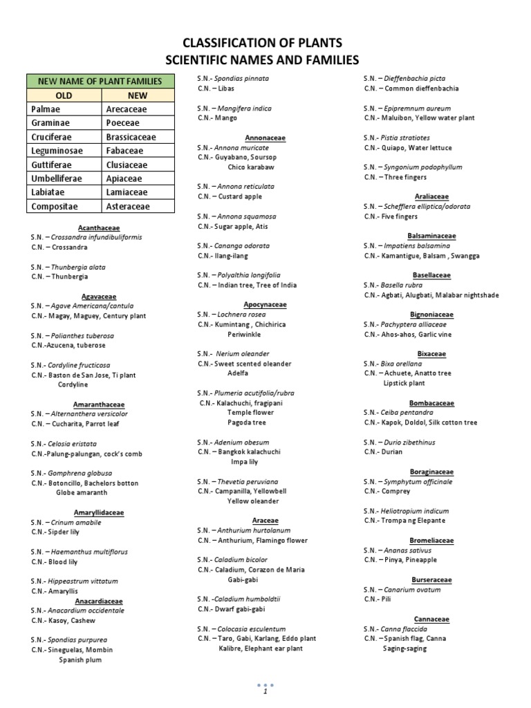 Scientific Names | PDF | Plants | Botany