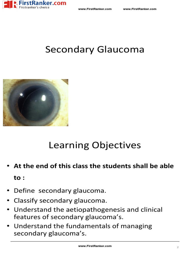 SECONDARY GLAUCOMA CLASSIFICATION | PDF | Glaucoma | Ophthalmology