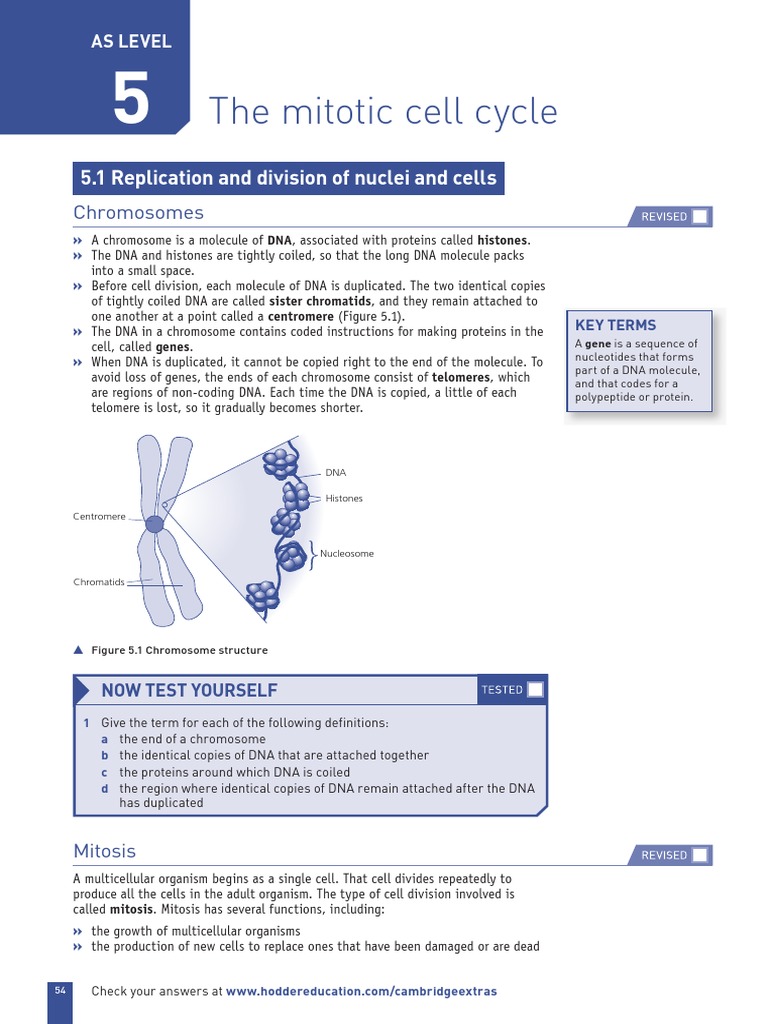 Extracted Pages From Cambridge International AS and A Level Biology Students Book 2nd Edition (C ...