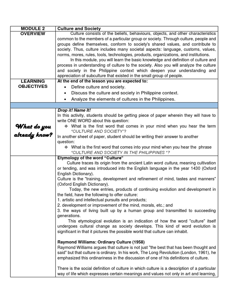 MODULE 2 - Culture and Society | PDF | Society | Institution